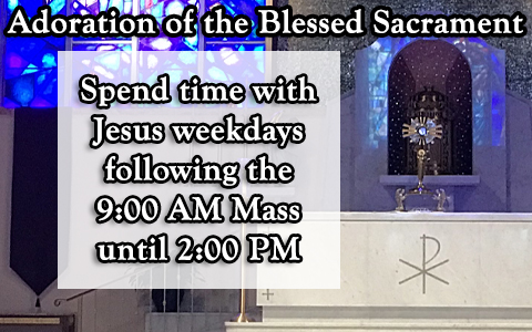 OLGC Parish – Our Lady of Good Counsel