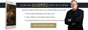 OLGC Parish – Our Lady of Good Counsel